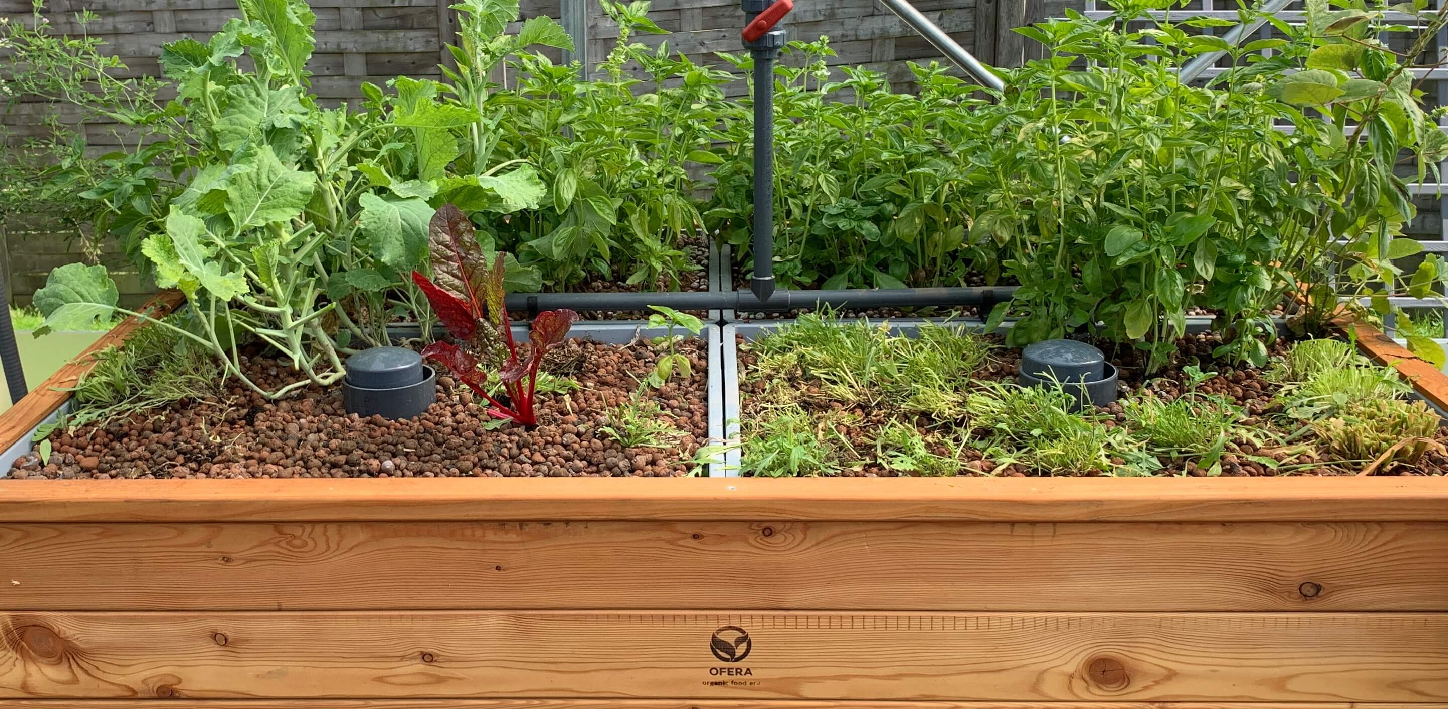 How does an Aquaponics Bell Siphon work? – OFERA