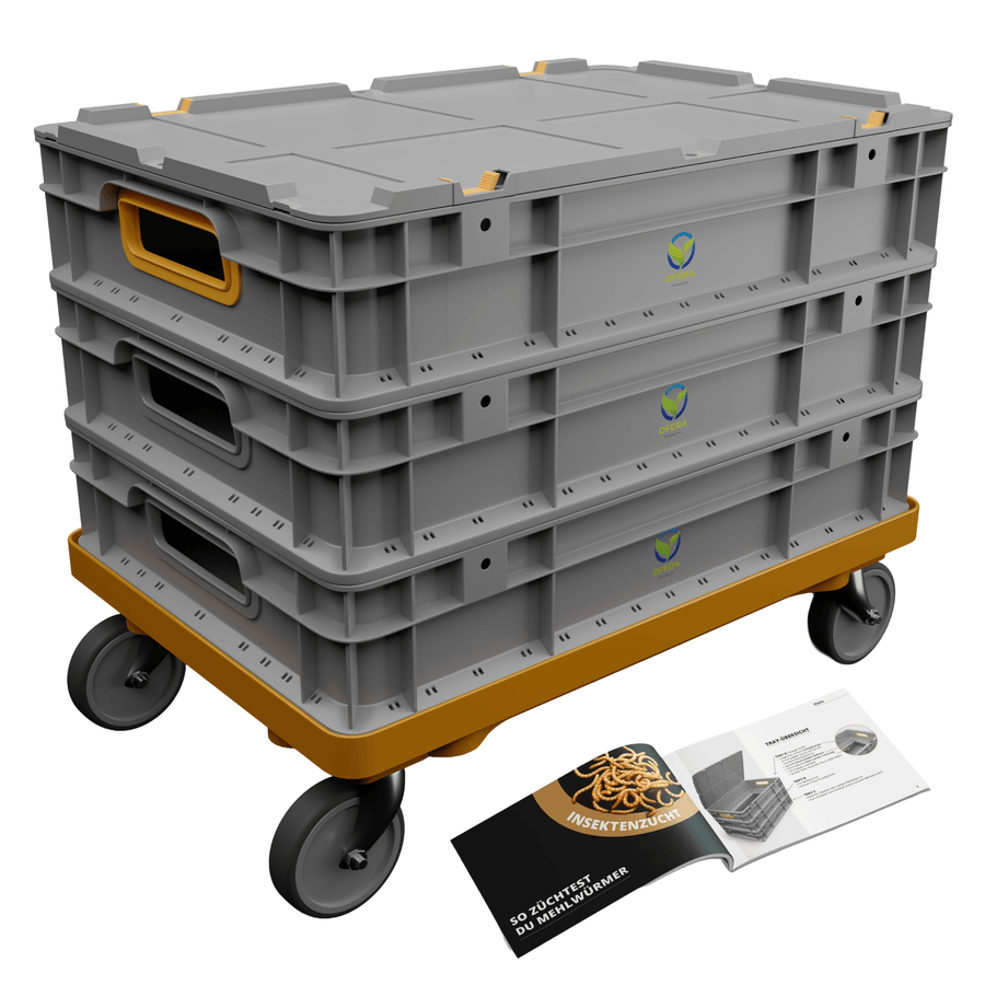 Breeding Mealworms – Starter Kits, Live Mealworms & Supplies | OFERA
